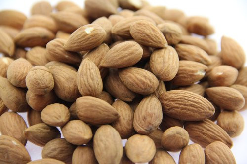 Mission Almond Tree | the-clayton-farm