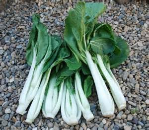 Long White Choy Sum Edible Flower Rapa | the-clayton-farm