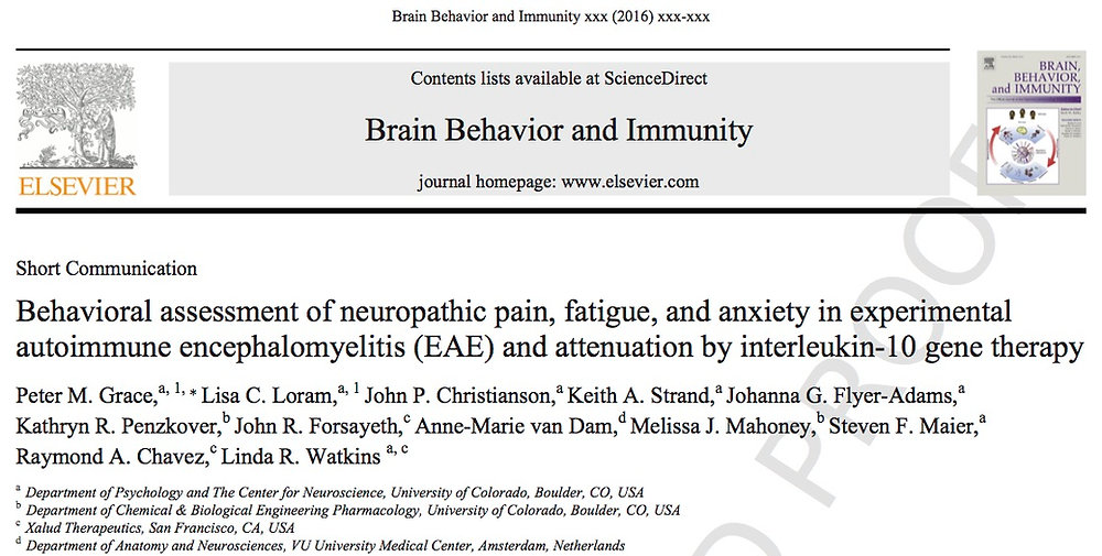 Congrats to co-labs Peter Grace, Lisa Loram & Linda Watkins!