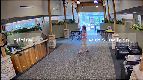 SureVision | PELCO | INTOO株式会社