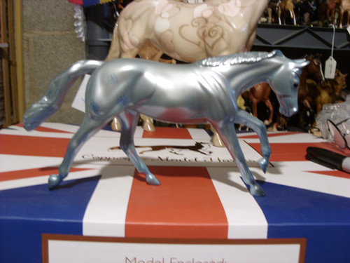 Peter Stone Blue Gum Drop | Silvertail Stables