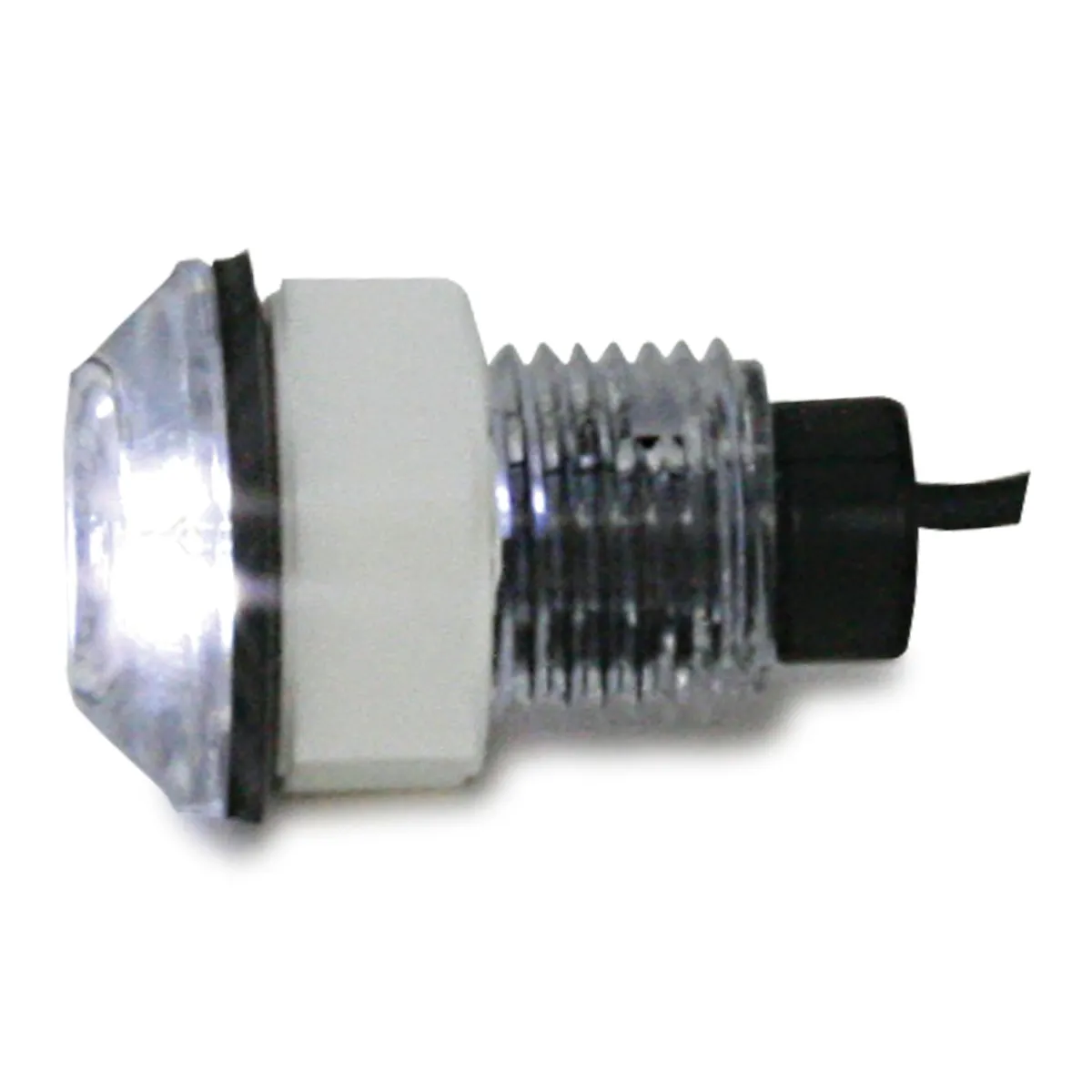 BULKHEAD LIVE WELL LED LIGHT | PEASTERBILTCUSTOMS