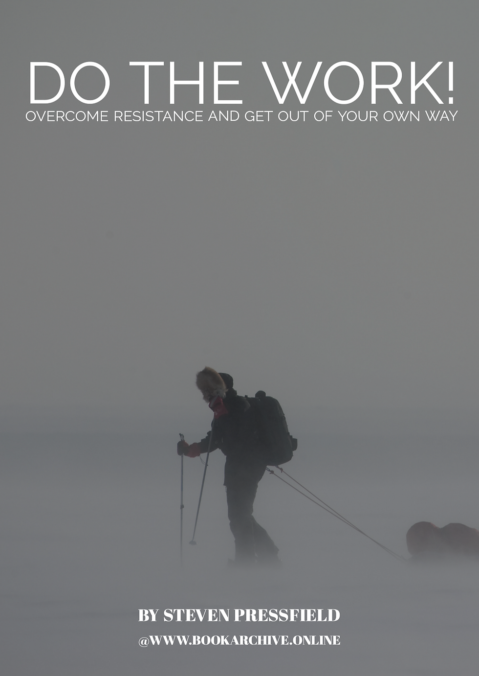 Book Summary | Do The Work!