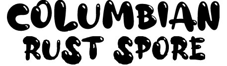 Columbian Rust Spore - Microscope Sample | The Shaded Spore