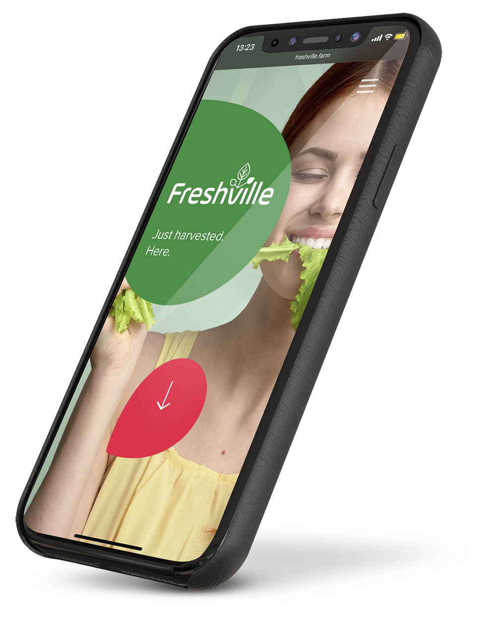 Clement Nasr | Freshville Website