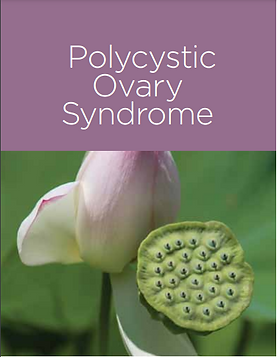 Polycystic Ovarian Syndrom | Fertility NZ