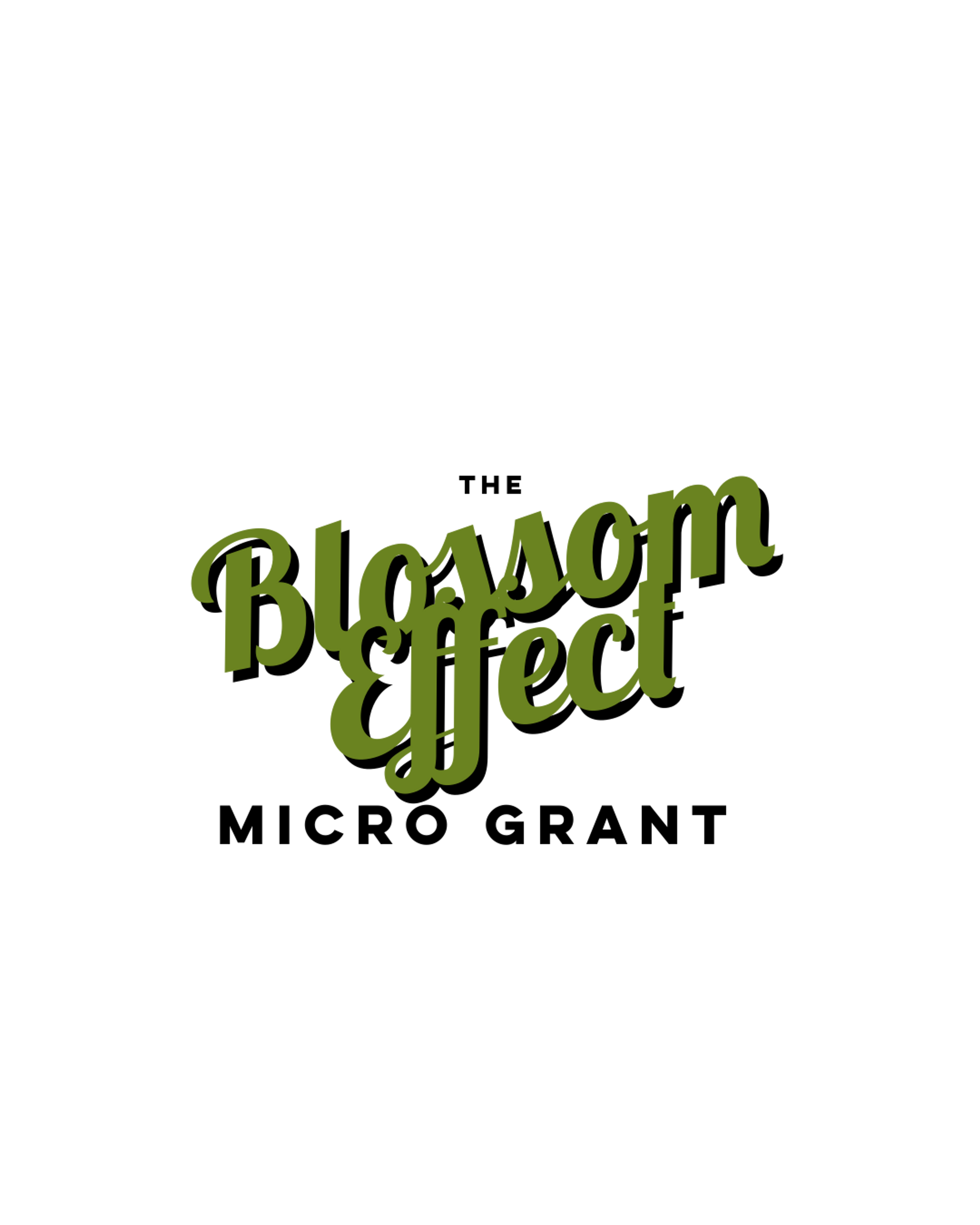 Blossom Effect Grant Terms & Conditions | Paigetailyn