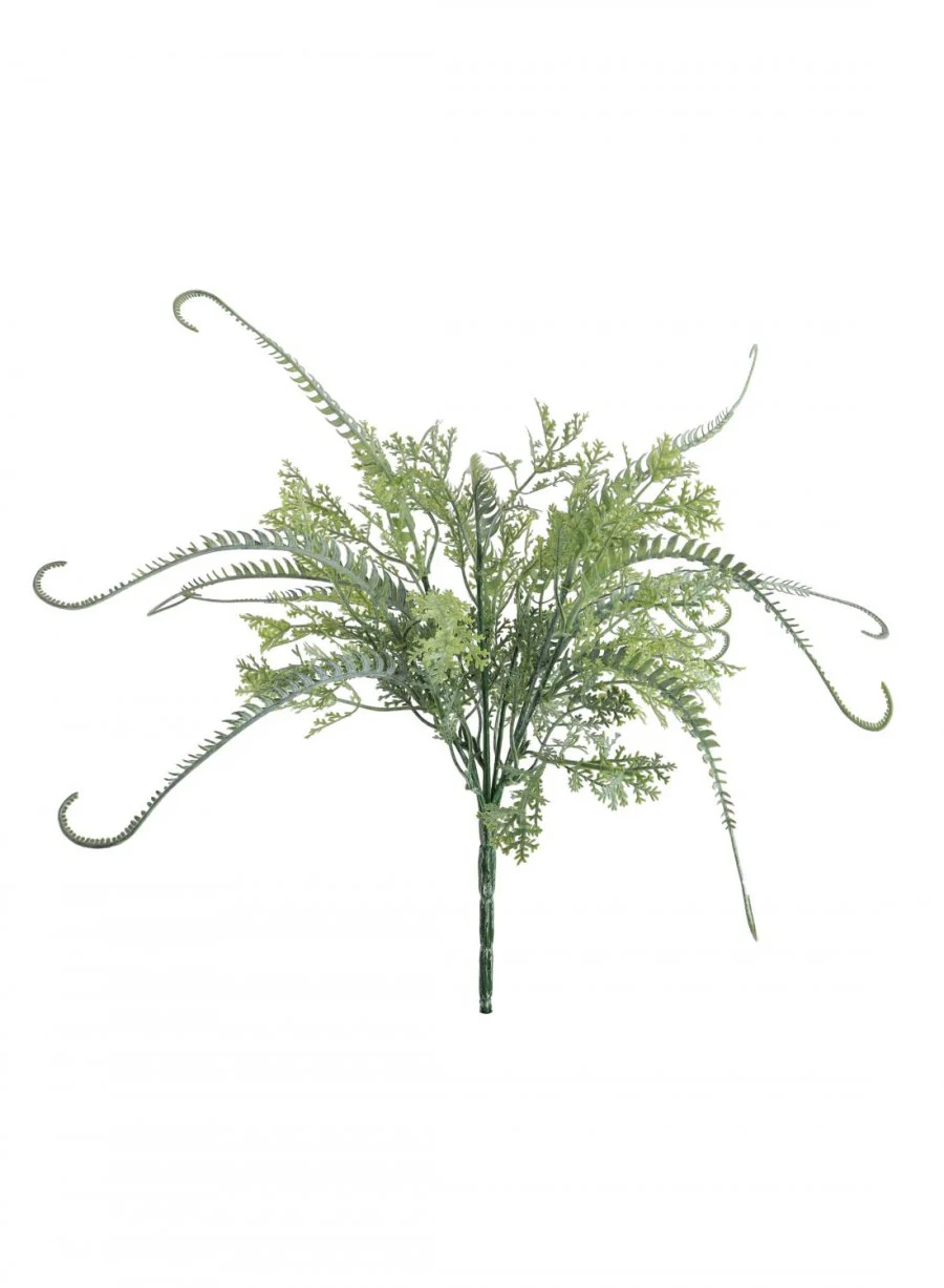 Short curly Fern bunch | My Site