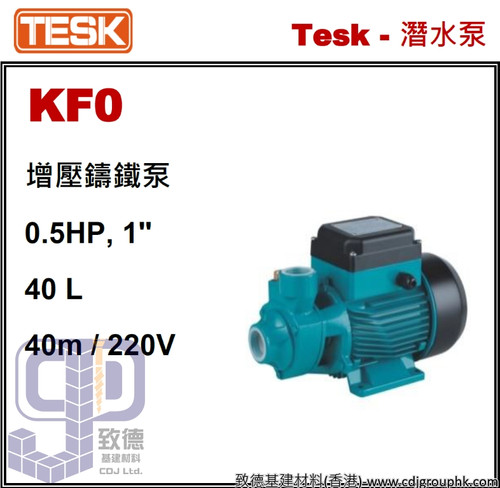 中國"Tesk"-增壓鑄鐵泵-KF0(STMW) | 致德基建材料有限公司 CDJ Limited
