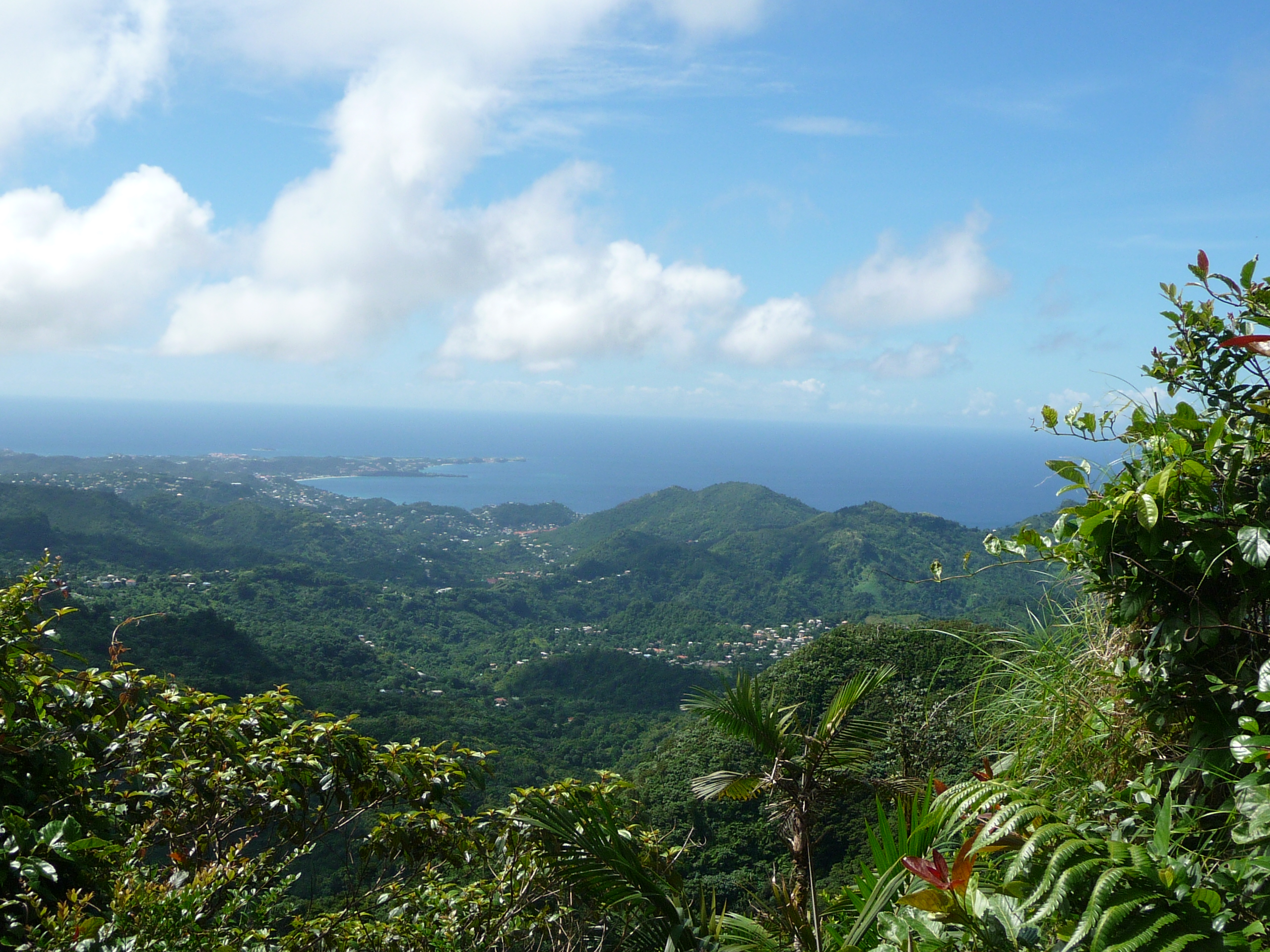Sightseeing | Tropical Adventures | Grenada