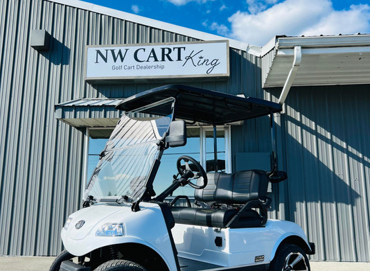 Our Inventory at NW Cart King | Evolution Electric Vehicle Dealer