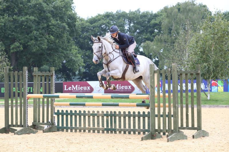 Professional Horse Sales | LS Sporthorses | Northiam