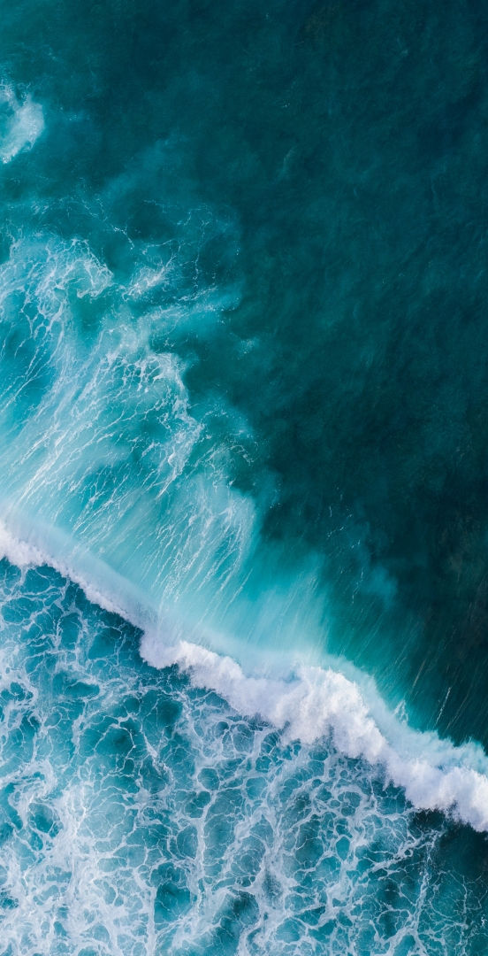 brandon borders wave