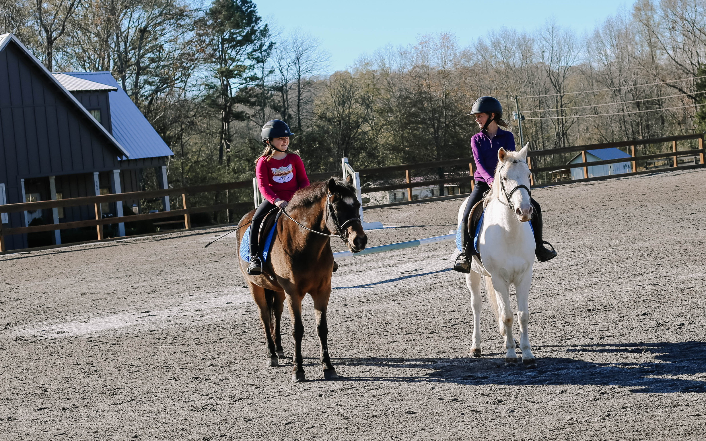 LESSONS | HorseCreekFarm