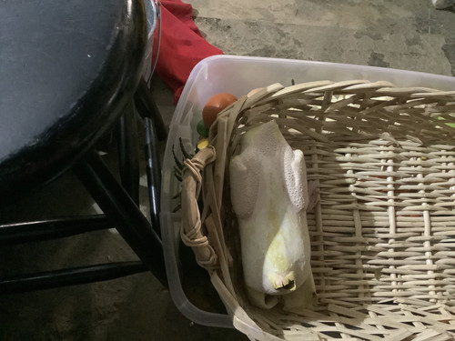 [F0036]Chicken | Prop Co-Op