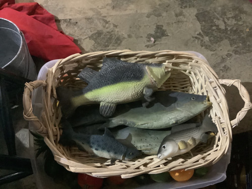 [F0034]Fish | Prop Co-Op