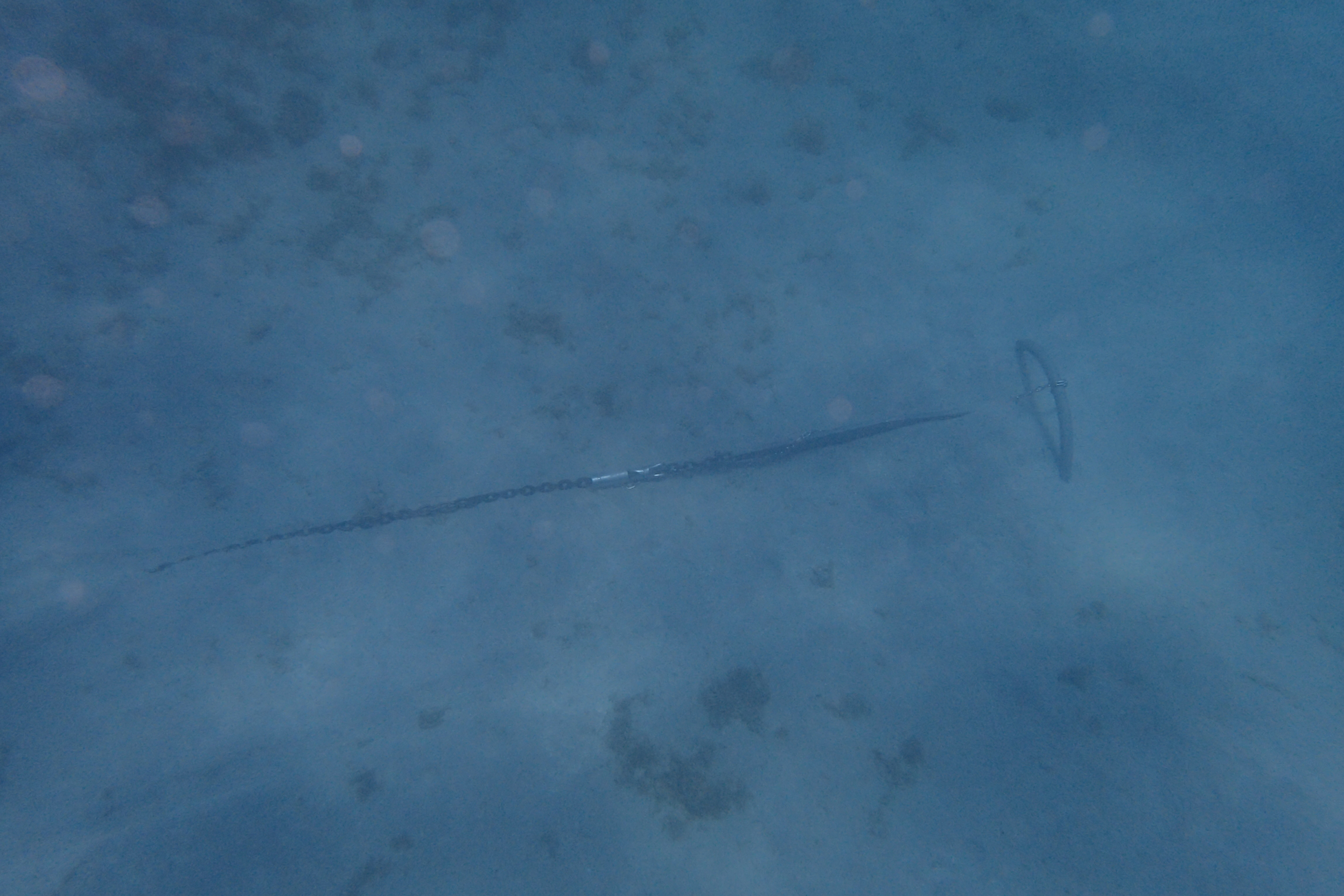 Rocna 25 deployed with Ultra swivel | AnchorRescue Gallery