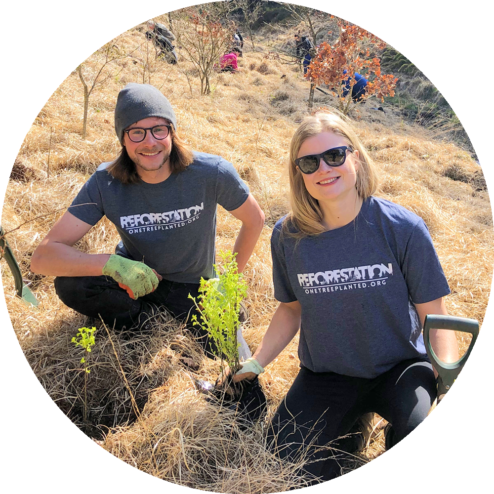 About HUB - The Sustainable Intranet with a Purpose