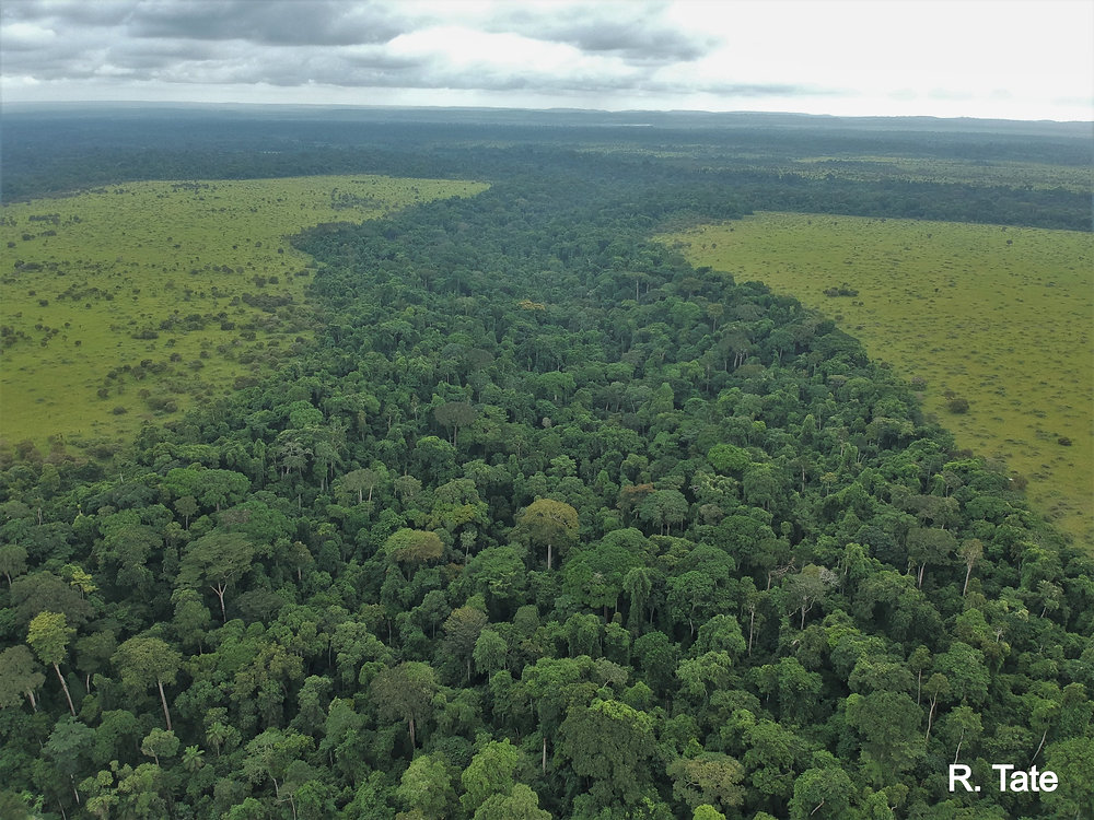 Chiloango Drainage, Cabinda - Angola