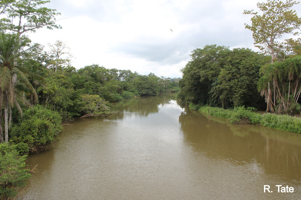 Chiloango Drainage, Cabinda - Angola