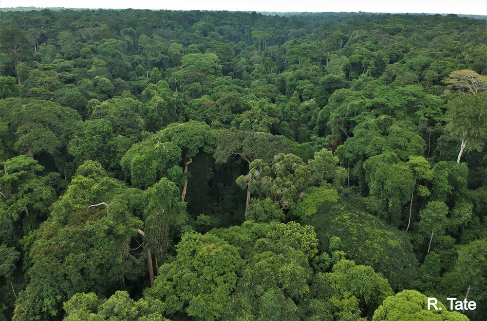 Chiloango Drainage, Cabinda - Angola