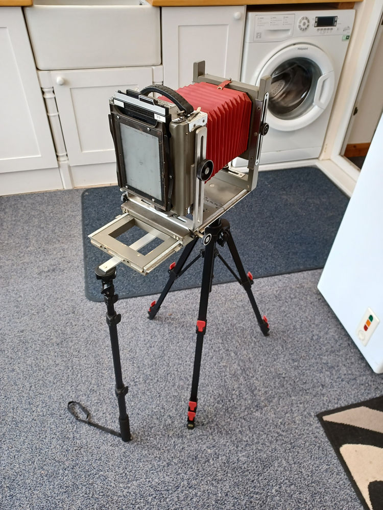 More Adventures With Large Cameras