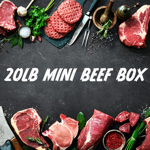 20LB MINI BEEF SHARE BOX | Farmhill Lane Co.