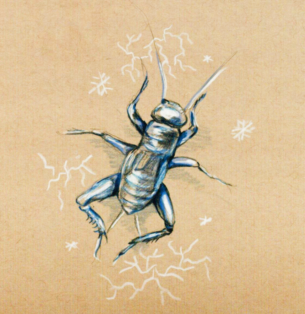 Breaking the Ice: How Insects Tolerate Freezing Temperatures