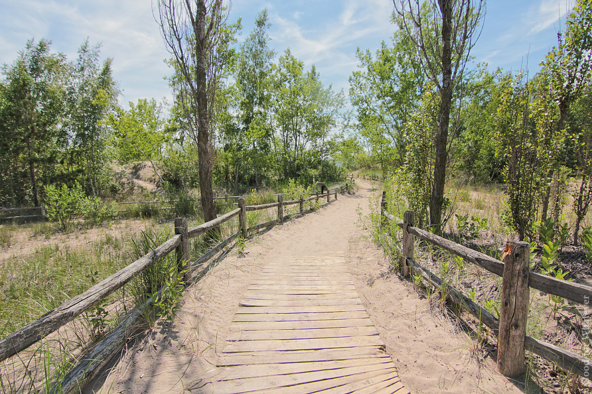 Hanlan's Point | Toronto's Gay Beach