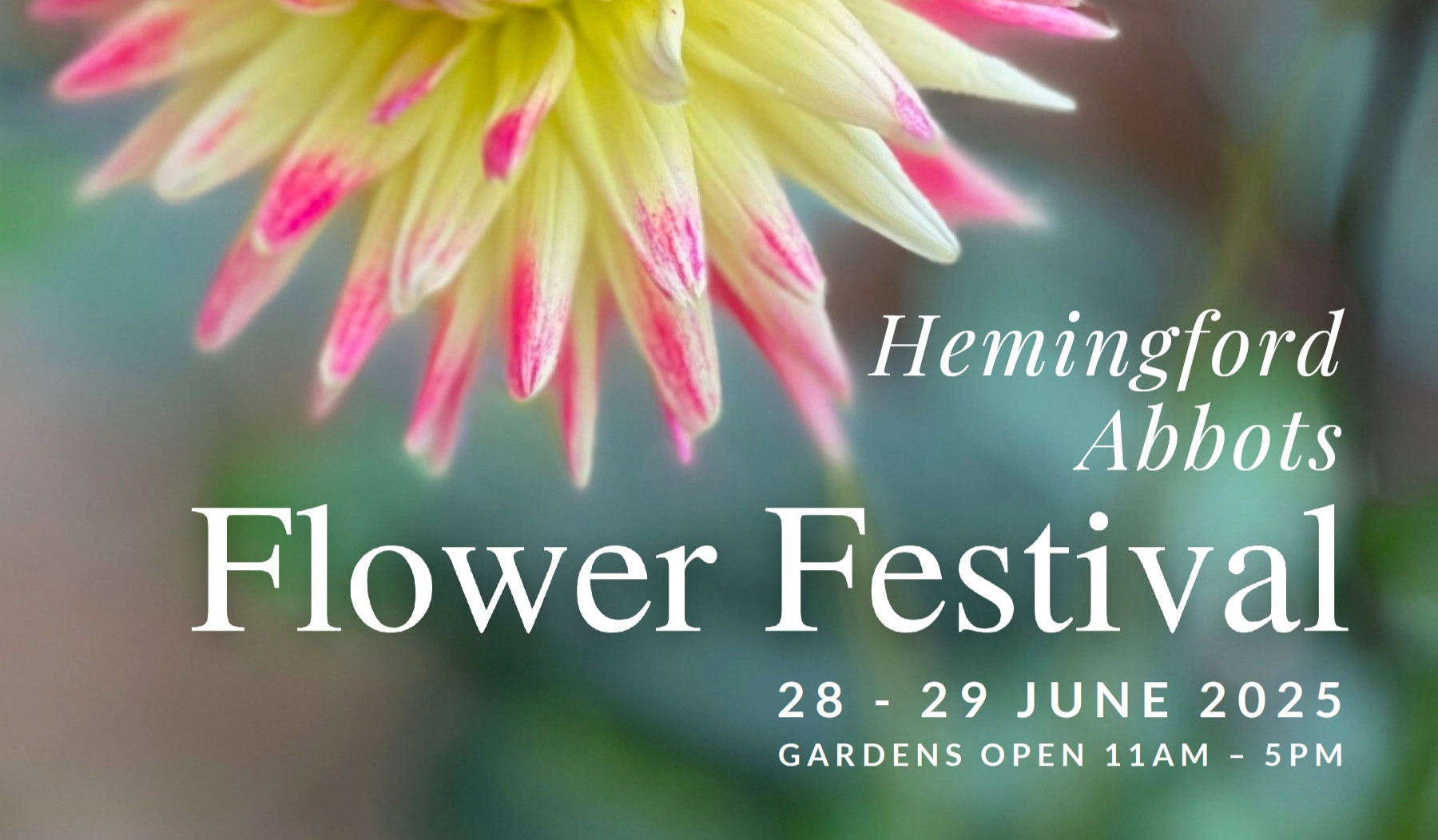 Home | haflowerfestival.org