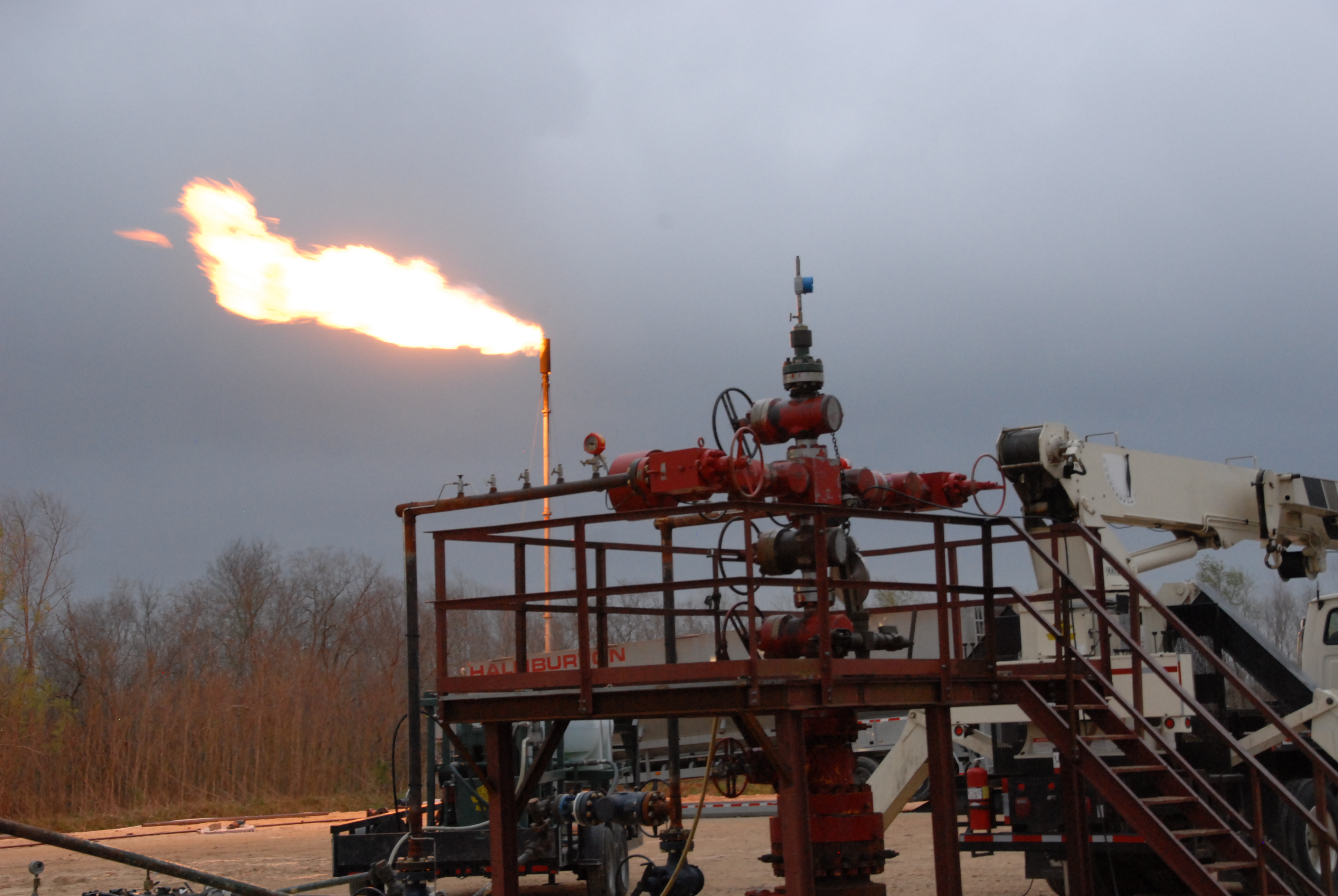 Home | International Petroleum LLC