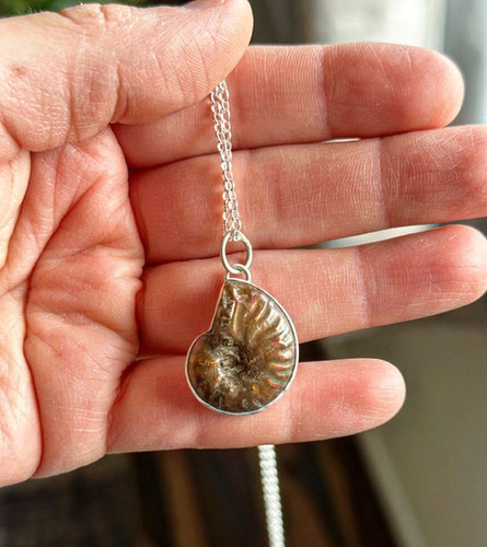 Change is the only constant... Opalized Ammonite Fossil Pendant | RJJewelry