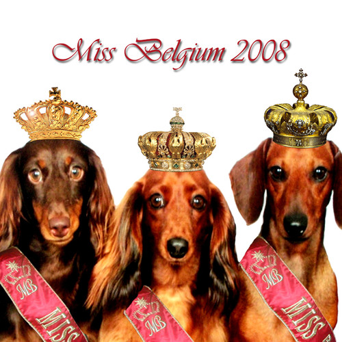 Miss Belgique 2 | Dotspot