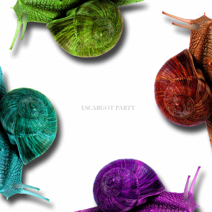 Snails Party | Dotspot