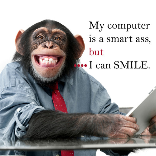 Smart Monkey | Dotspot