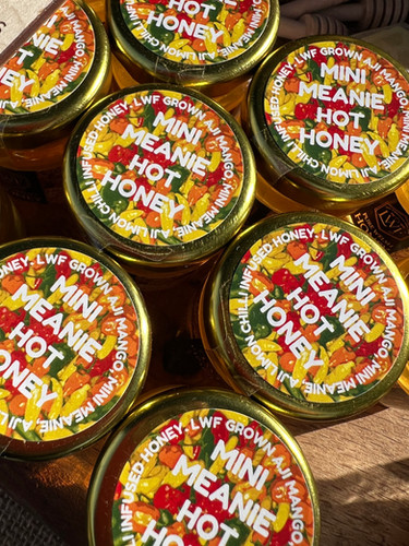 Hot Honey - Welsh Honey infused with homegrown Chillies | LWF Gower