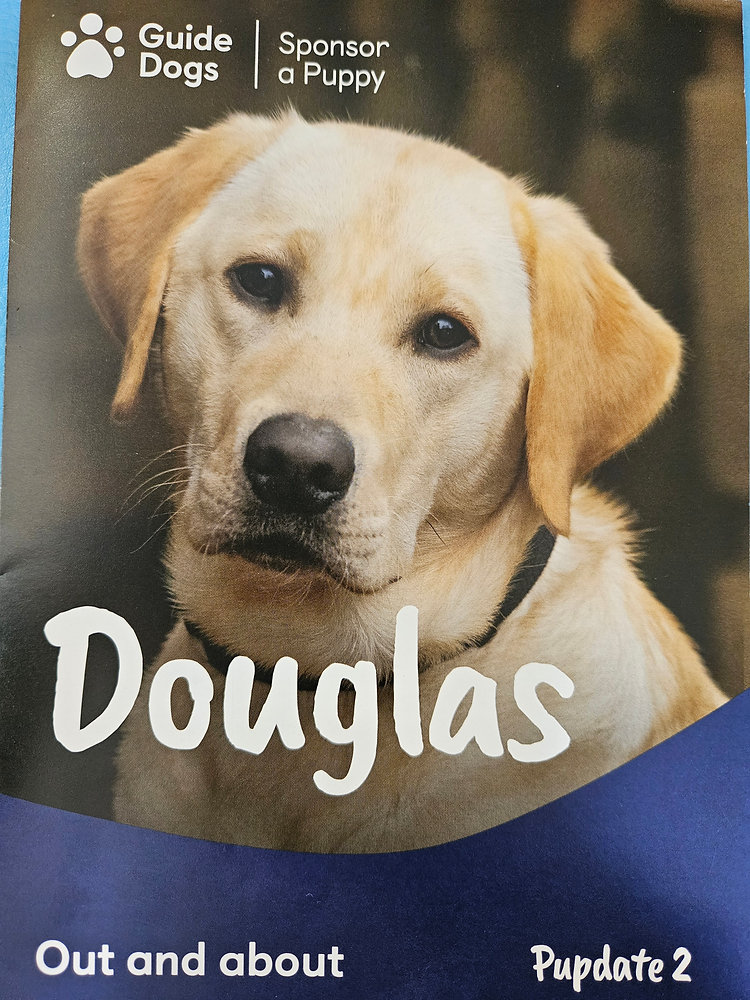 "How is Douglas the Guide Dog Doing Now? A Pupdate on His Pawsome ...