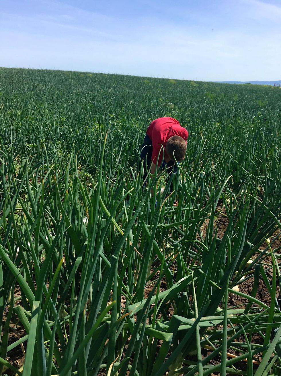 Photo gallery | Countryside acres