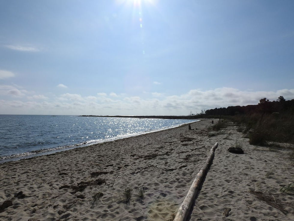 Virginia Northern Neck Natural Areas | Barefoot Beachcombing
