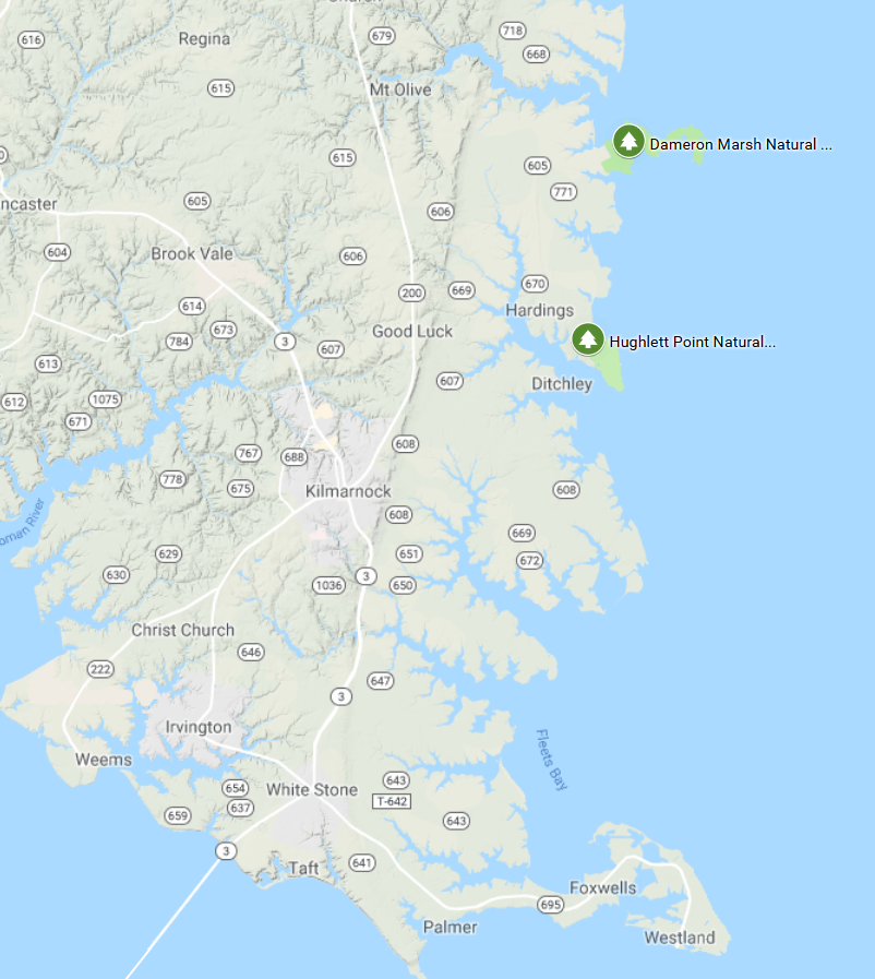 Virginia Northern Neck Natural Areas | Barefoot Beachcombing