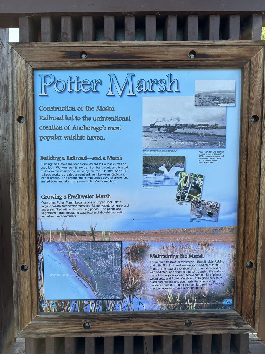 Whittier to Denali, Alaska | Barefoot Beachcombing