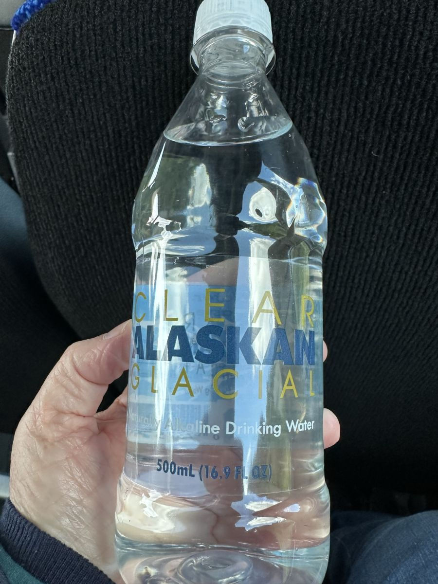 Whittier to Denali, Alaska | Barefoot Beachcombing
