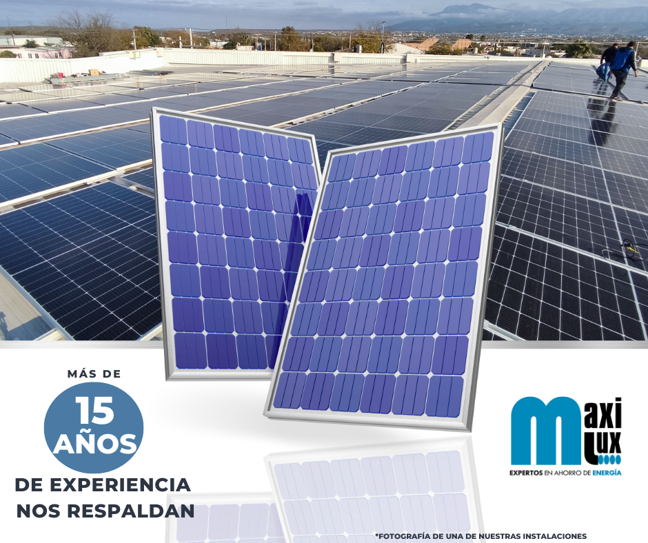 Encuesta de Satisfacción | Maxilux