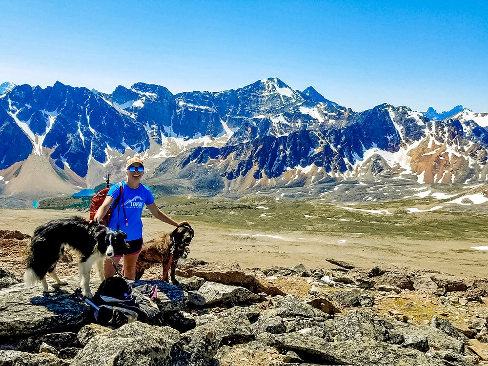 Whistlers and Indian Ridge - Jasper National Park