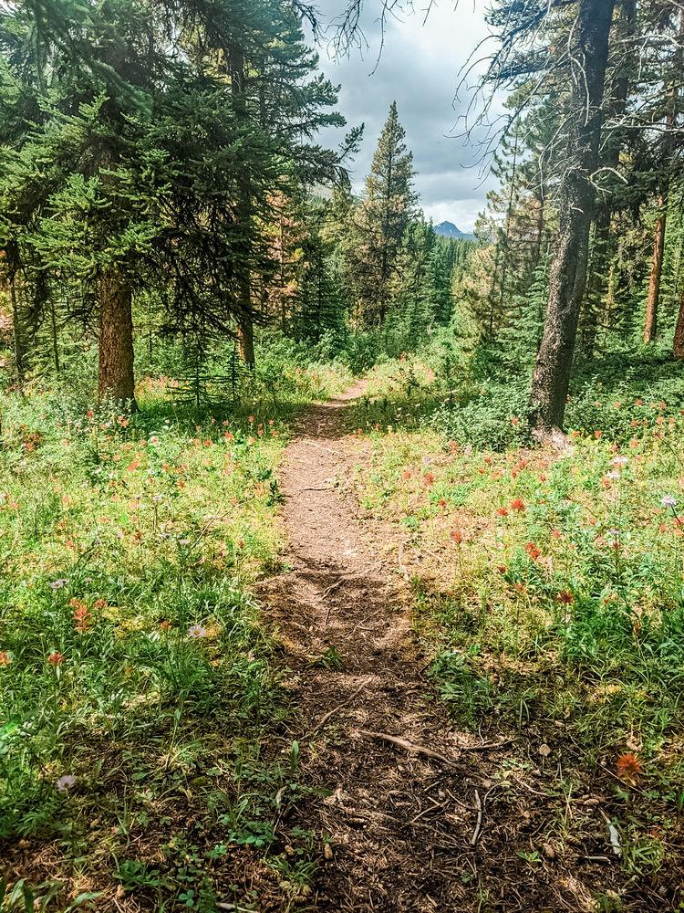 Brazeau Loop Backcountry Hike - Jasper National Park - Great Divide Trail