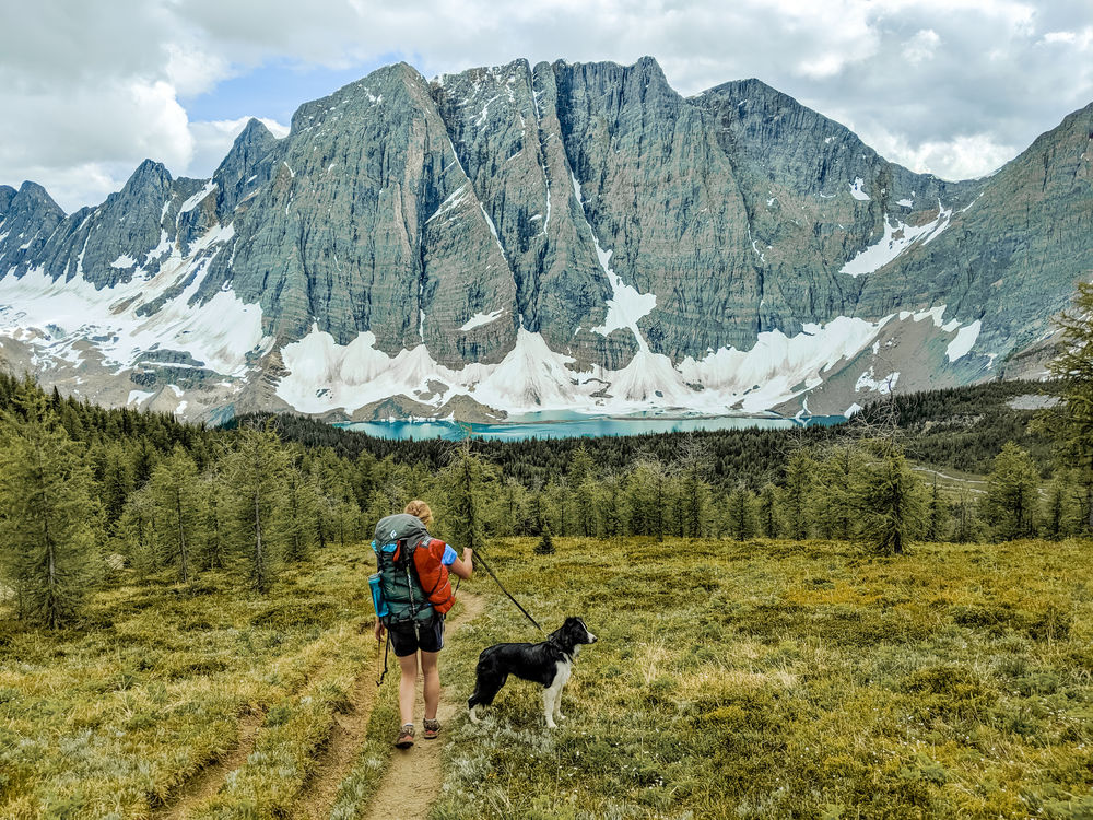 Rockwall Trail Backcountry Hiking - Kootenay National Park