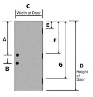 What You Need | d4pap