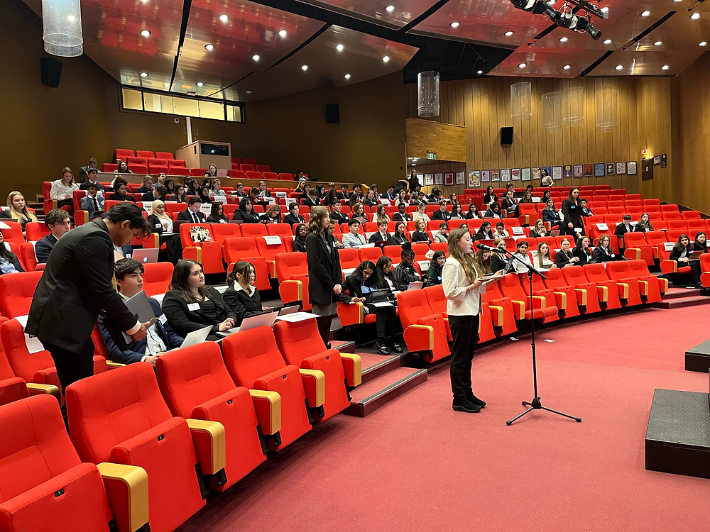 Scandinavian Model United Nations 2024