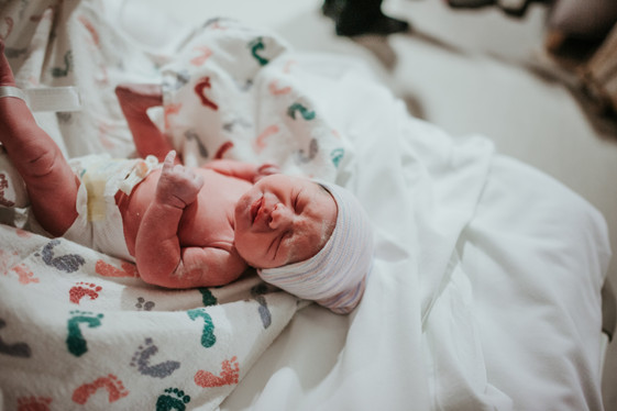 Birth Photographer | St. Louis, Southern IL | Fresh Pine Photography