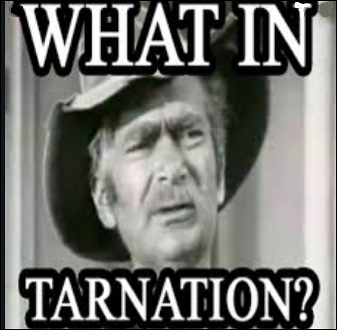 WHAT IN TARNATION IS GOING ON...